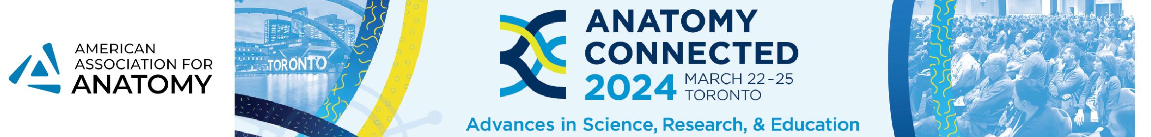 Anatomy Connected 24