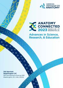 Anatomy Connected 23